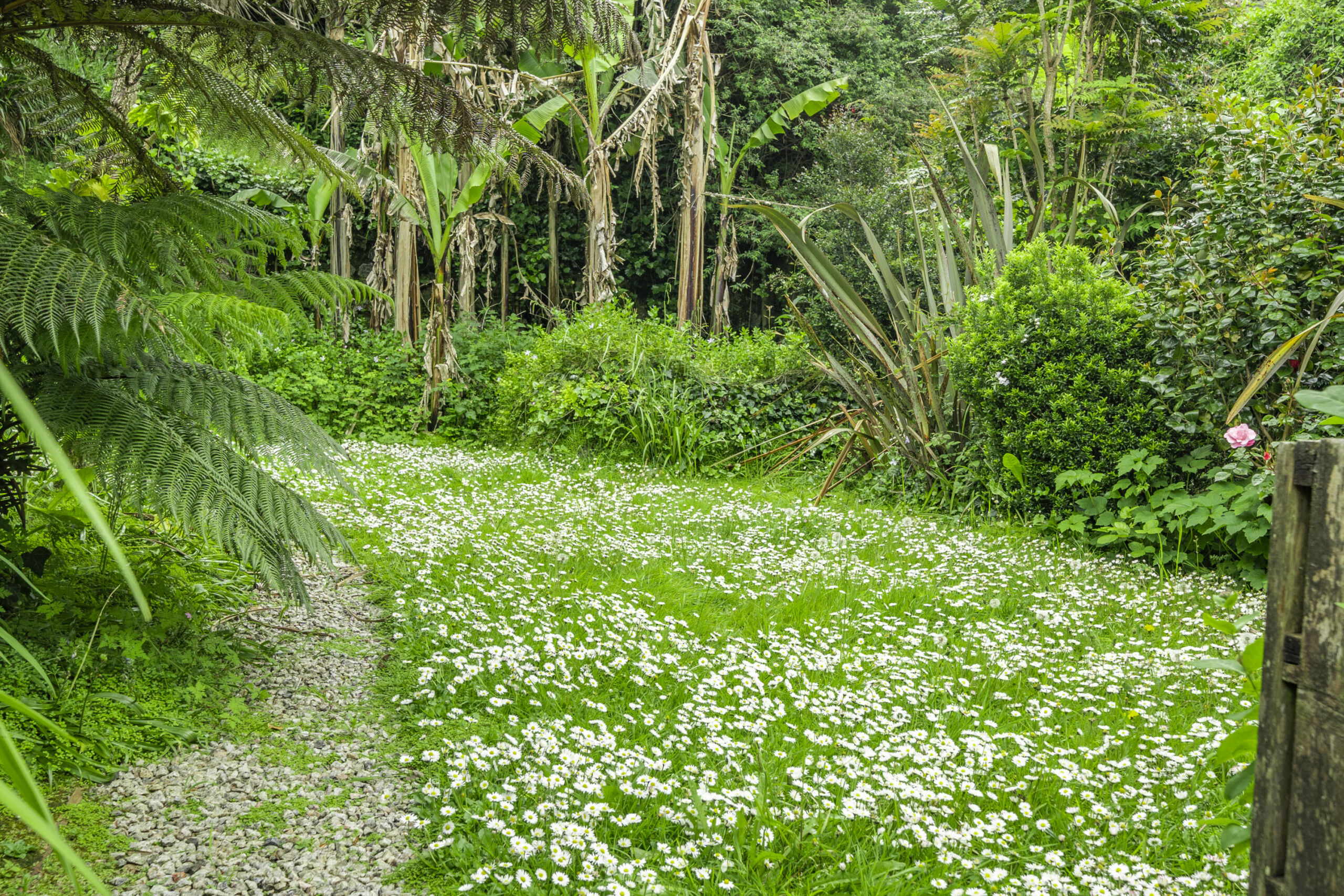 Springfield Villa Holiday Cottage | Book Now | Cornish Secrets