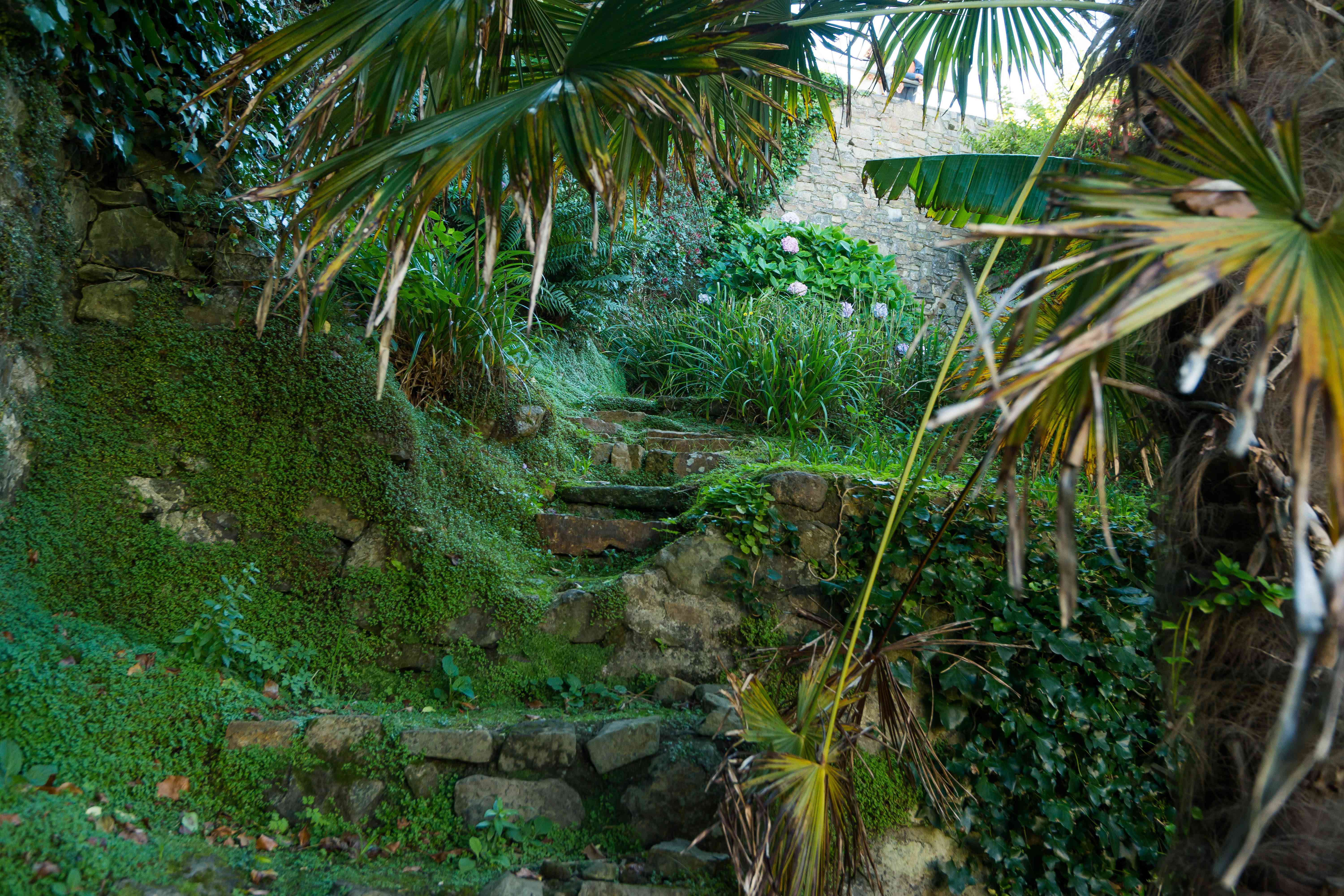Springfield Villa | St Ives Holiday Let | Cornish Secrets
