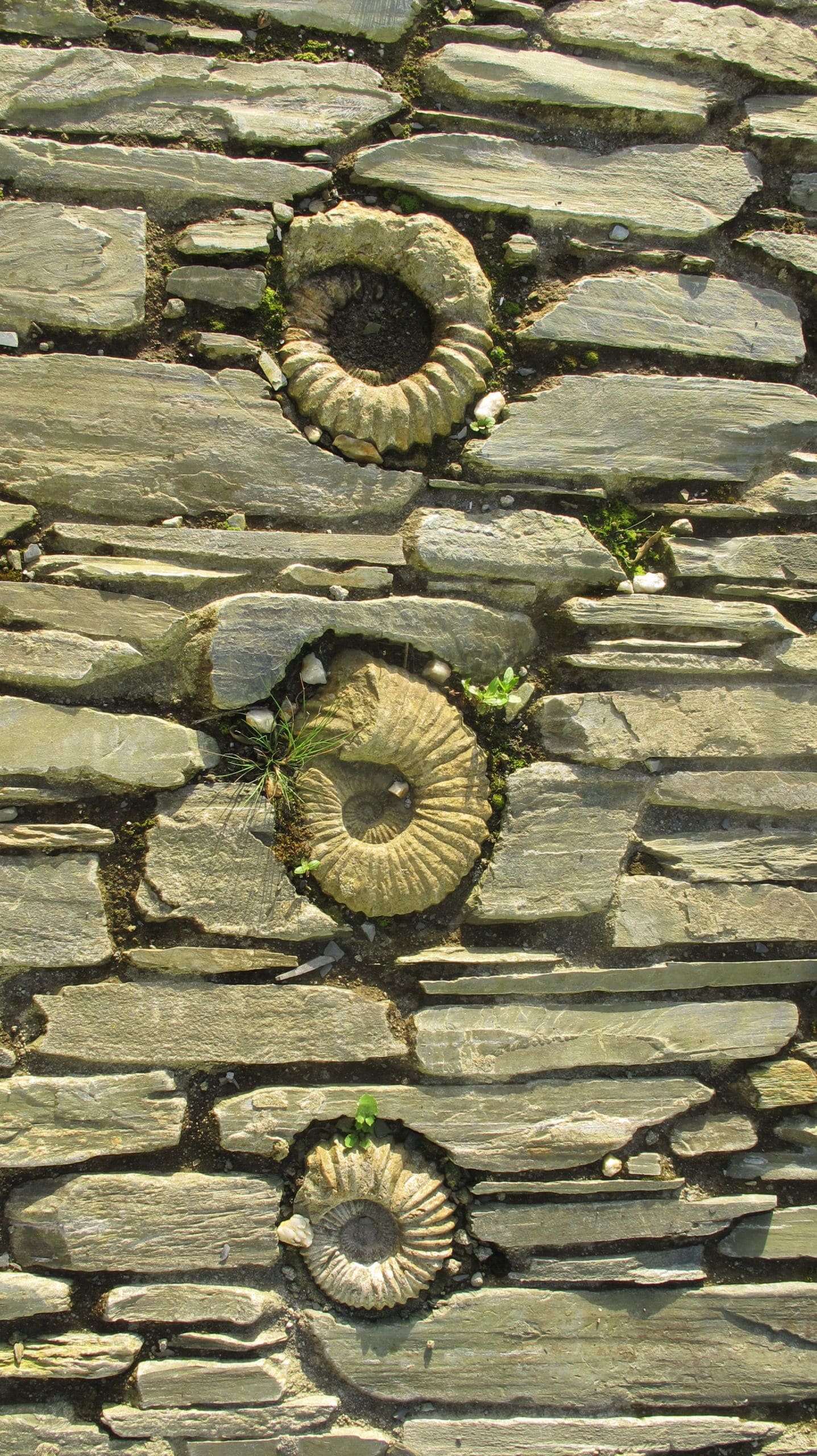 Camel Quarry House | Nr Wadebridge Holiday Let | Cornish Secrets