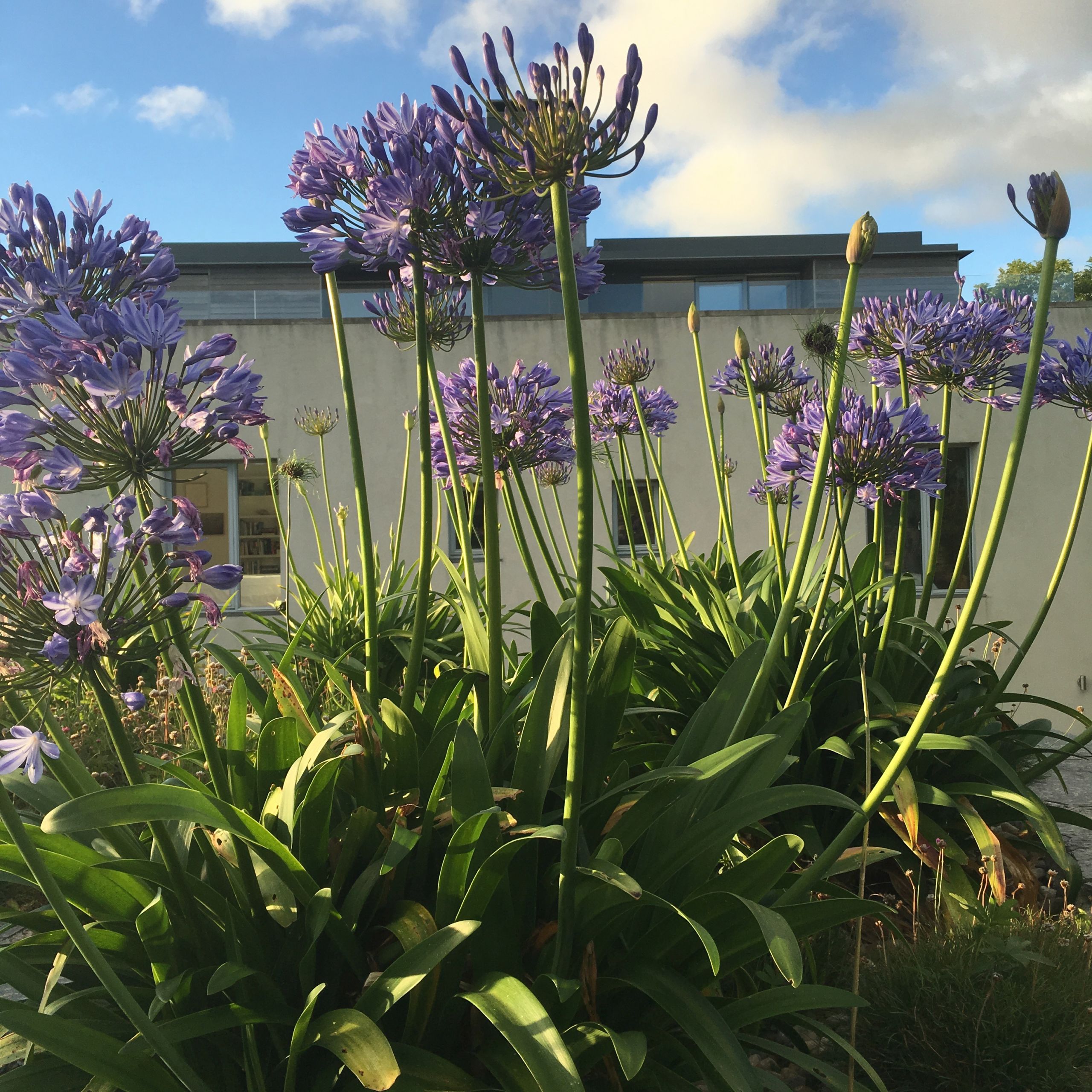 Camel Quarry House | Nr Wadebridge Holiday Let | Cornish Secrets