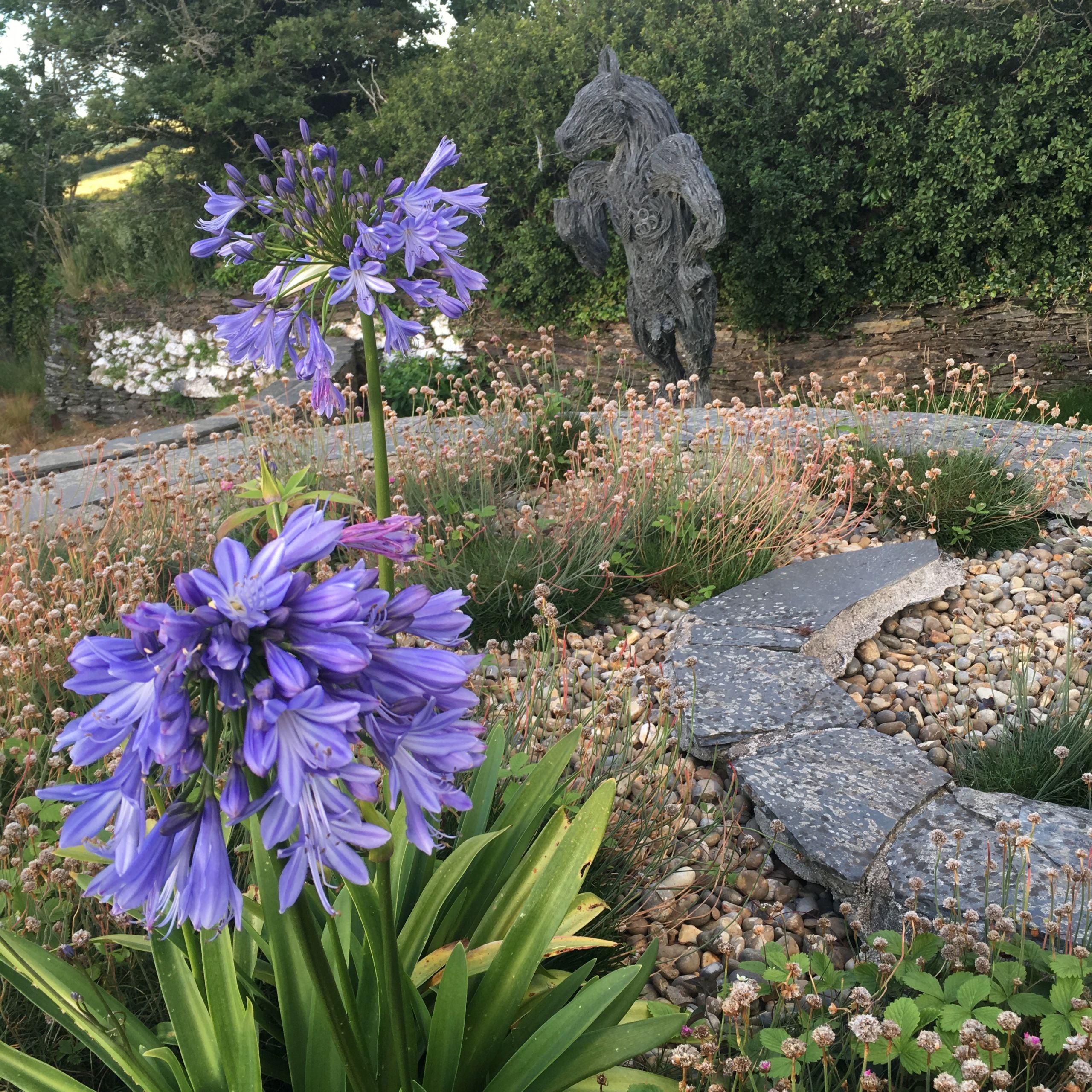 Camel Quarry House | Nr Wadebridge Holiday Let | Cornish Secrets