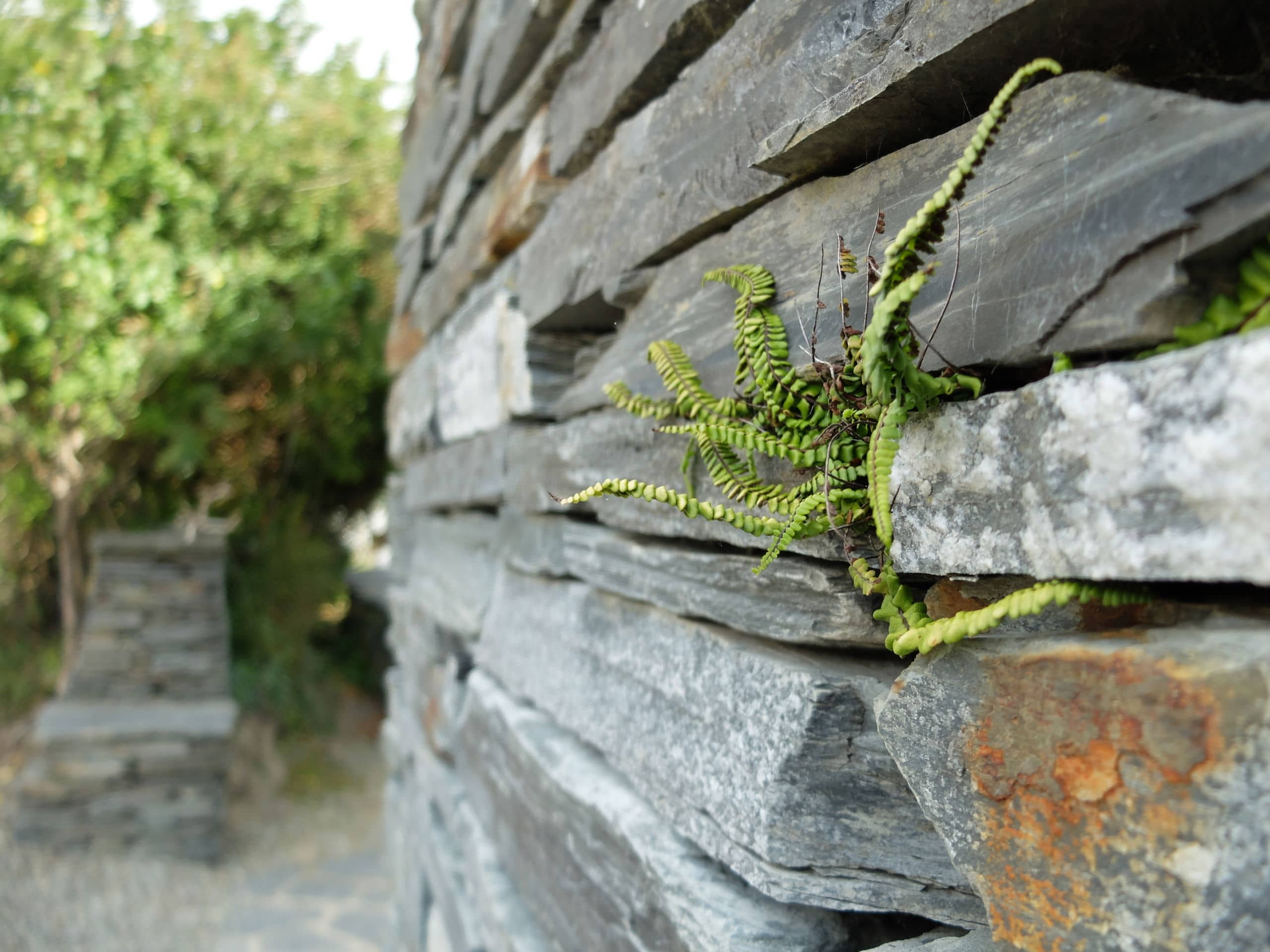 Camel Quarry House | Nr Wadebridge Holiday Let | Cornish Secrets