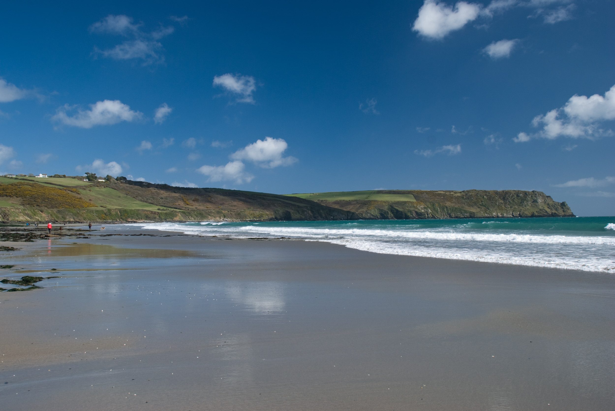 Pendower Beach Guide | Key Info & Local Tips