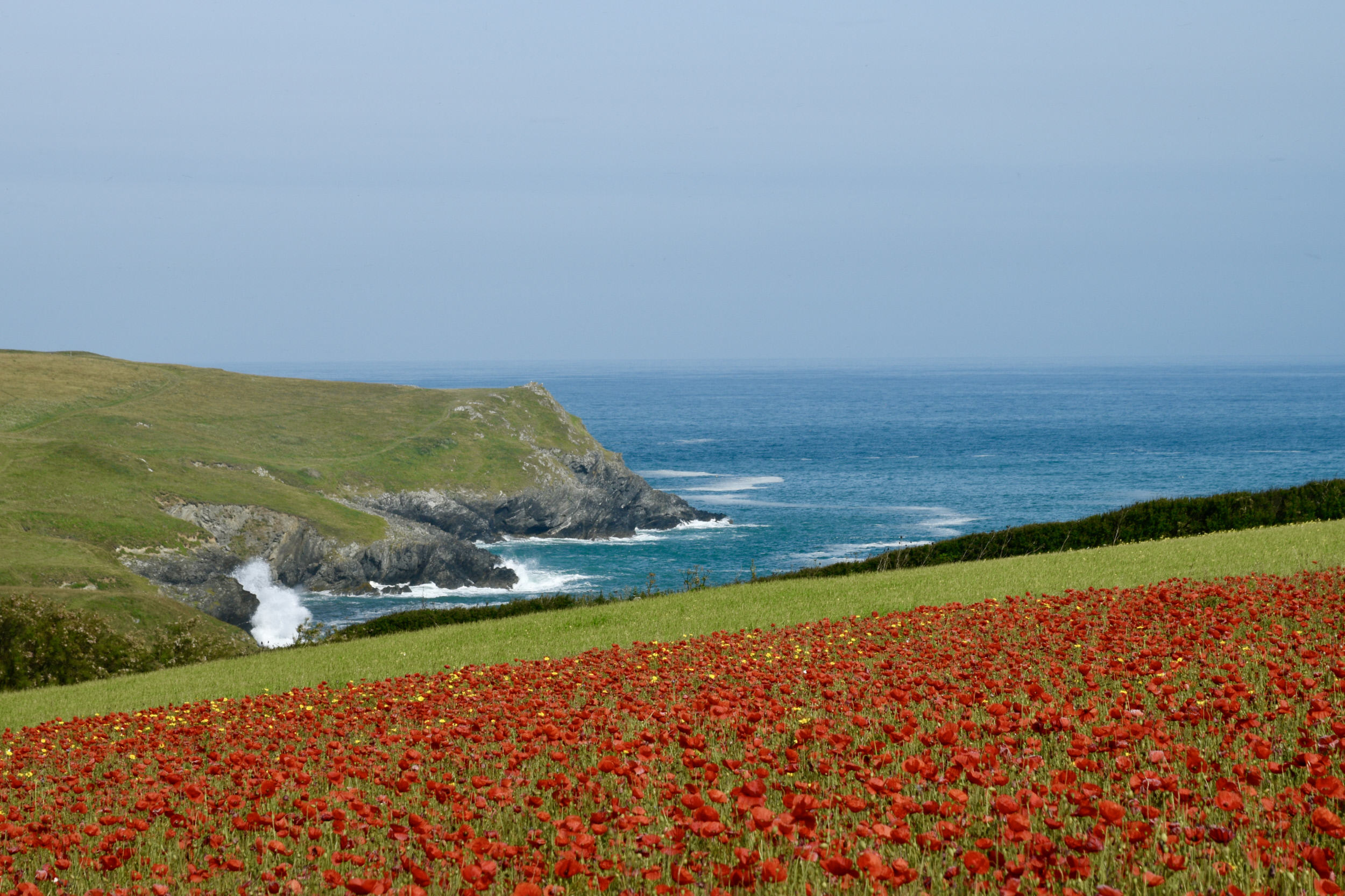 Cornwall in Spring: Where to Stay to See Blooming Gardens | Cornish Secrets