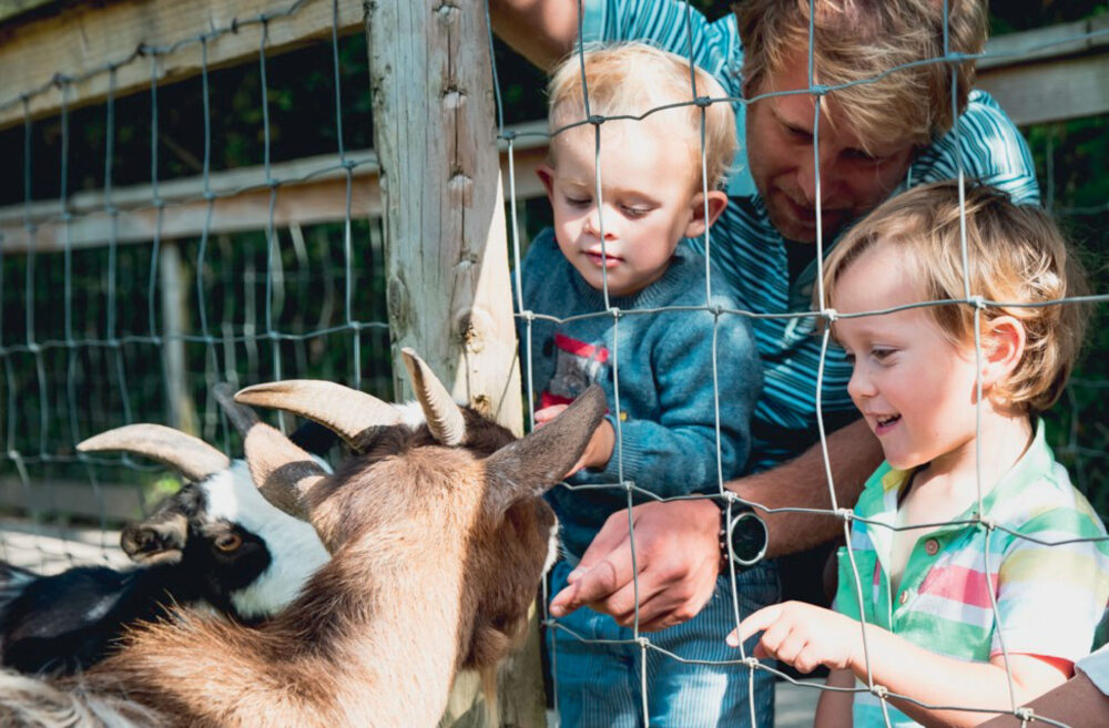 Healeys cyder farm, Perranporth | Cornish Secrets