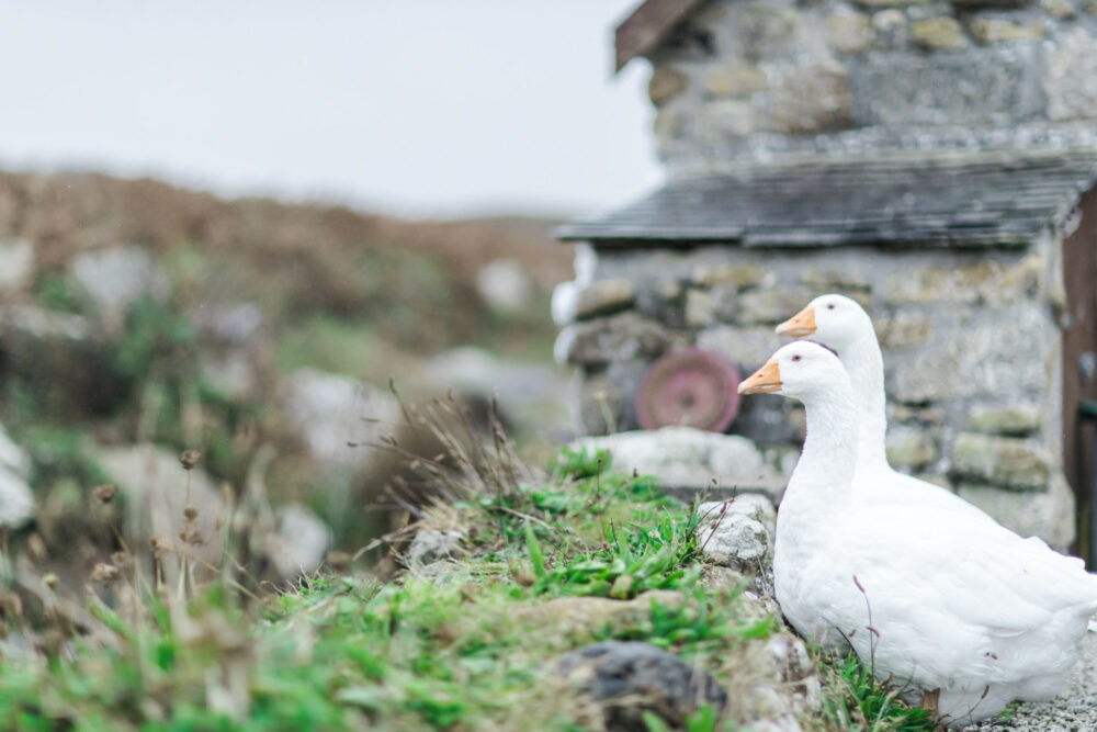 Where to visit: Land’s End | Cornish Secrets