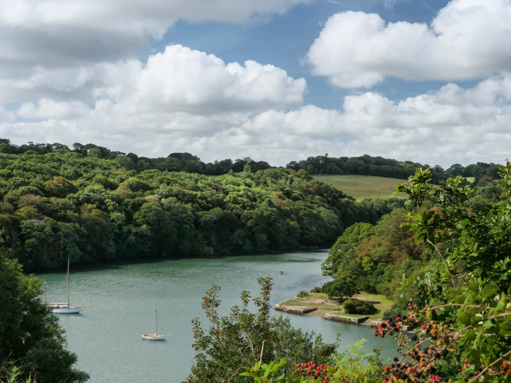 10 of the Best Gardens in Cornwall | Cornish Secrets