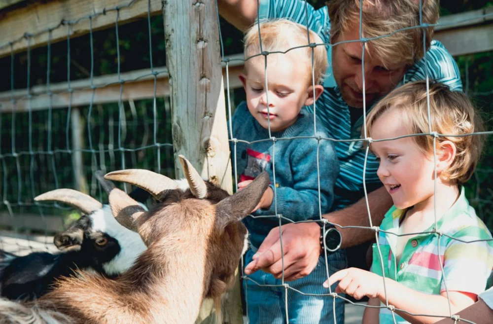 Healeys cyder farm, Perranporth | Cornish Secrets